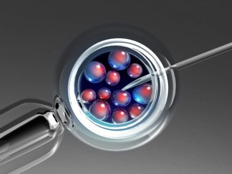 Surrogacy Explained: Benefits and How It Works - IVFLA Fertility